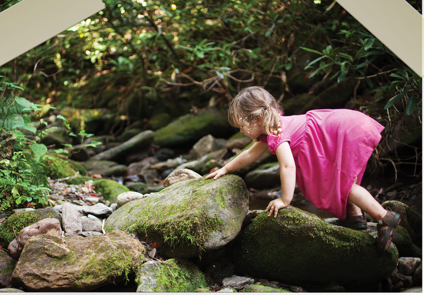 Explore the Benefits of Nature-Based Education - Mother Earth Living